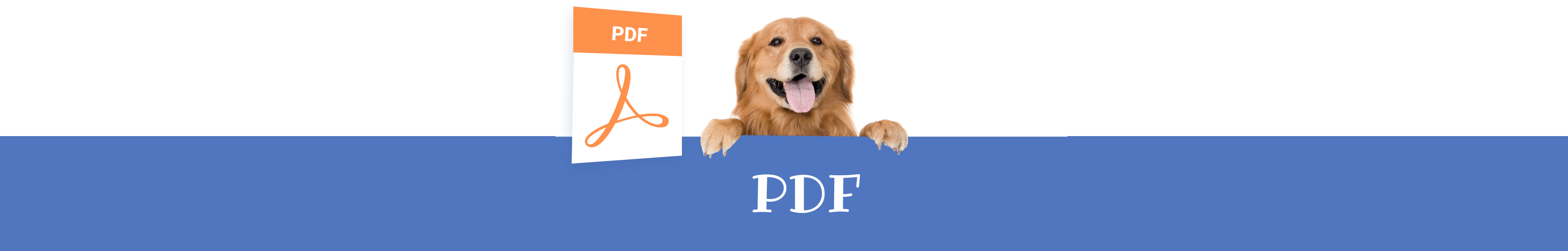 High-Quality Pet GPS Tracker Solutions for Cats and Dogs | Eview GPS